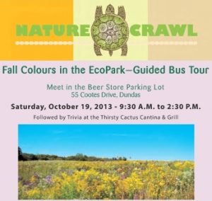 Nature Crawl: Fall Colours in the EcoPark – Guided Bus Tour - Niagara ...